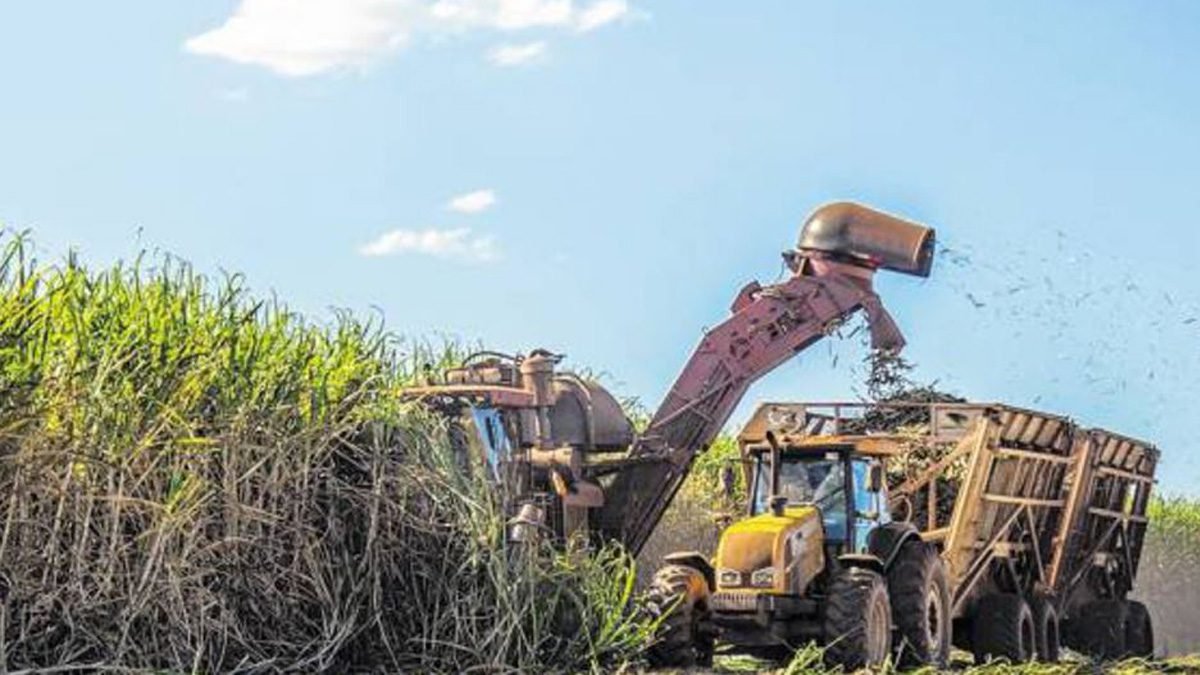 Modelo de Simulación del Cálculo del IDH en Cuba