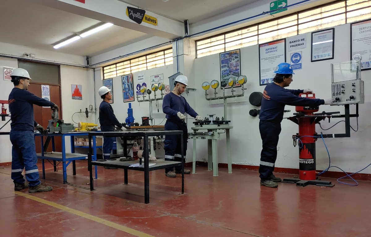 Apagallamas FA-E de la Marca PROTEGO: Protección Superior contra ...
